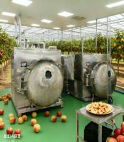 China Custom Freeze Dryer Solutions  Tailored for Your Product  Output Customization Scalable Output for sale