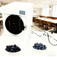 China Professional Freeze-Drying at Home Quick-Cycle Technology Saves Time Appeals to serious users and highlights a key technical advantage for sale