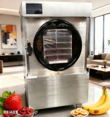 China Home Freeze Dryer Preserve Nutrients, Flavor & Color. Perfect for Garden Harvests, Meals & Emergency Prep for sale