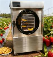 China Stop Food Waste, Start Saving! A Freeze Dryer Preserves Leftovers  Bulk Buys & Seasonal Abundance for sale