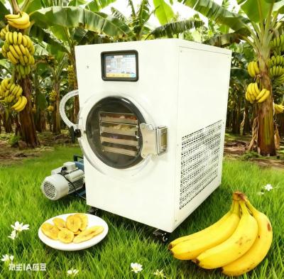China Healthy Snacks Made Easy. Freeze-Dry Fruits, Yogurt & More with a Harvest Right. No Additives, All Control for sale