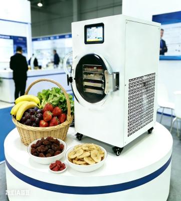 China Your food, your control. Home freeze dryer preserves nutrients, extends shelf life to 25 years. Compact, smart, perfect for families for sale