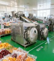 China Powerful 200kg freeze dryer for profitable production. Engineered for continuous operation, consistent results, and long-term return on investment for sale