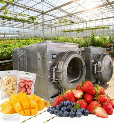 China Harvest Right Large Model: Industrial-Grade Freeze Dryer. Preserve Bulk Produce & Meats Efficiently. Build a Thriving Business for sale