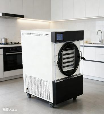 China Small Freeze Dryer: Create Healthy Emergency Food, Camping Meals & Pet Treats. Quick Setup for sale