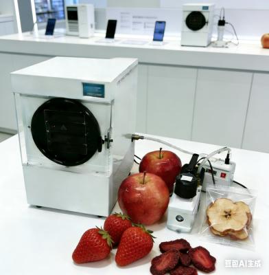 China Mini Freeze Dryer: Save Food, Reduce Waste! Ideal for Preppers, Homesteaders & Healthy Families for sale