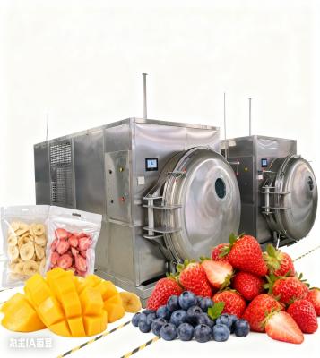China Large-Scale Lyophilizer: Automated, Energy-Efficient Industrial Freeze Dryer for High-Volume Preservation for sale