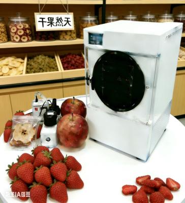 China Taste Summer All Year! Small Freeze Dryer for Home - Make Healthy, Shelf-Stable Treats in Hours for sale
