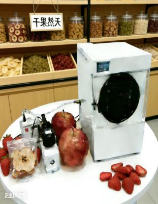China Home Freeze Dryer for Vegetables & Snacks  Fast Drying, User-Friendly & Compact Build for sale