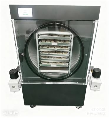 China Compact Freeze Dryer for Home Use Preserve Flavors & Nutrition, Low Maintenance & Quiet for sale