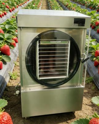 China 2-6kg Household Home Freeze Dryer Medium 20-24 Hours for sale