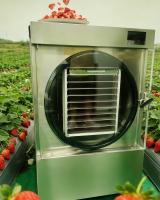 China PLC Control 10Kg Home Freeze Dryer -50C To 50C Temperature Range for sale
