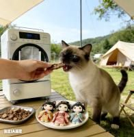 China Smart & Efficient: Automatic Home Lyophilizer with Timer – Preserve Nutrients, Make Healthy Snacks, Pet Food & Camping Meals for sale