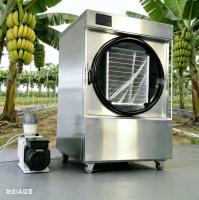 China Your Kitchen’s Time Machine: Preserve Seasonal Flavors Year-Round – Compact Freeze Dryer for Family, Hikers & Preppers for sale