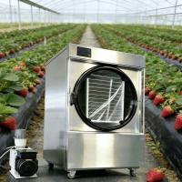 China Automatic Home Freeze Dryer Dry Fruits, Meals & Treats with Set-and-Forget Ease for sale