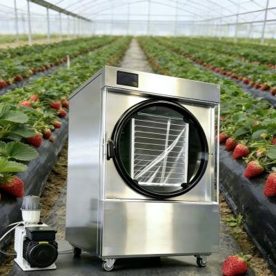 China Automatic Home Freeze Dryer Dry Fruits, Meals & Treats with Set-and-Forget Ease for sale