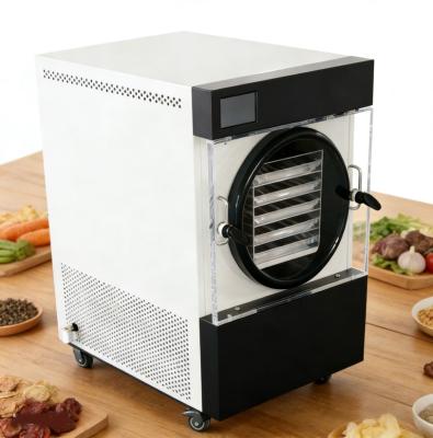China Stainless Steel Home Lyophilizer  Commercial-Grade Durability for Your Home Food Drying Needs for sale