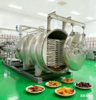 China Maximize Your Harvest & Savings!  Pro-Series Household Lyophilizer, 200+ Servings per Batch for sale