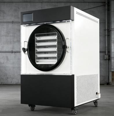 China Taste Summer in Winter! Compact Freeze Dryer Preserves Fruits, Herbs & Full Meals with 95% Vitamins Intact for sale
