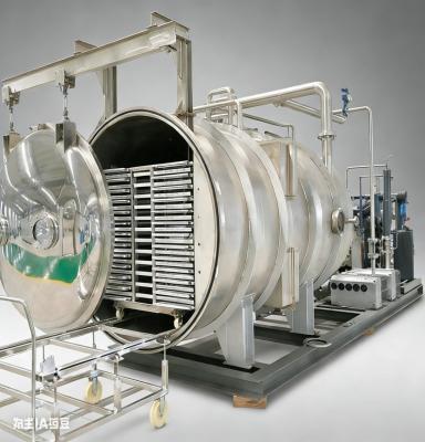 China Achieve Premium Quality at Scale: Our 100KG Industrial Freeze Dryers Perfectly Preserve Pharma, Food & Nutraceutical Ingredients. for sale