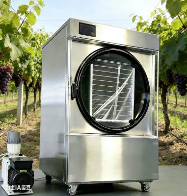 China Don't Just Store Food, Preserve Life! Our Home Freeze Dryer Protects Vitamins, Color, and Taste of Your Favorite Foods. for sale