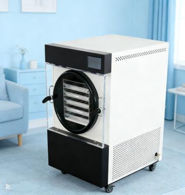 China Eat Healthier, Save Money, Reduce Waste. All-in-One Home Freeze Dryer for the Modern, Self-Sufficient Household for sale