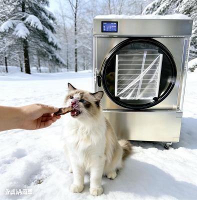China Stock Up & Save Money! | Home Freeze Dryer Machine with Touchscreen Controls & Auto Mode for Easy Food Preservation for sale