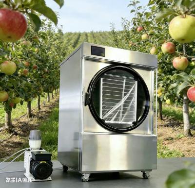 China No Preservatives, Just Real Food! | Personal Freeze Dryer Machine Perfect for Making Healthy Snacks & Camping Meals for sale