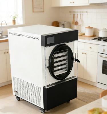 China Commercial-Grade Performance at Home | Stainless Steel Home Freeze Dryer with Large Capacity & 24/7 Reliable Drying for sale