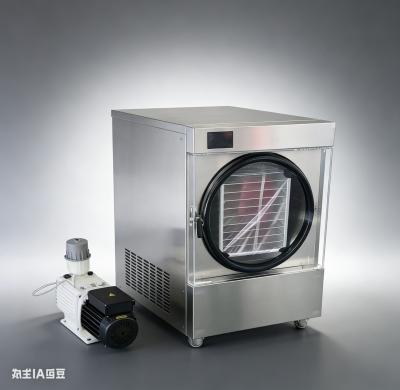China Stop Wasting Food & Money! Our Compact Home Freeze Dryer Turns Fresh Garden Bounty & Leftovers into Shelf-Stable Treasures for Decades. for sale