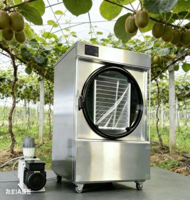 China From Garden to Pantry, Freshness Locked In. Our Easy-to-Use Small Freeze Dryer Keeps Color, Taste & Nutrients Intact for Up to 25 Years. for sale