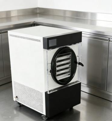 China Imagine Never Throwing Food Away Again. Our Smart Home Freeze Dryer Removes Moisture Gently, Preserving 97% Nutrients for Delicious Meals Anytime. for sale