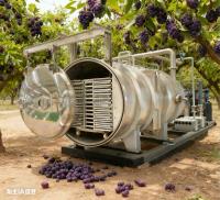 China Unlock New Revenue Streams: Heavy-Duty 100-200KG Freeze Dryers Engineered for High-Volume Production with Stainless Steel Durability, PLC Precision & 25-Year Shelf Life Results. for sale