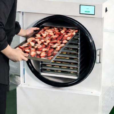 China Medium home freeze dryer machine using electric heating method ensures energy operation and consistent drying across batches for sale