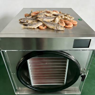 China SUS304 Stainless Steel Home Freeze Dryer With Two Stage Baosi Vacuum Pump Dimensions 1100 1000 1180mm Equipment for Home for sale
