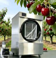 China Taste Summer Strawberries in Deep Winter. Our Easy-to-Use Small Freeze Dryer Preserves Peak-Season Produce, Full Meals & Even Ice Cream—No Preservatives Needed. for sale