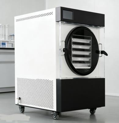 China Why Settle for Store-Bought? Our Home Freeze Dryer Lets Us Preserve Family Recipes, Seasonal Bounty & Bulk Meats at a Fraction of the Cost—Tastes Homemade Always. for sale