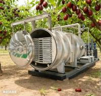China Scale Up Without Compromising Quality. Heavy-Duty 100-200KG Freeze Dryers Engineered for High-Volume Production with Stainless Steel Durability, Energy Efficiency & Consistent Results Every Batch. for sale