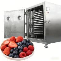 China Automatic Vacuum freeze-drying machine powered by 220V 380V 3PH ideal for  food and chemical drying applications for sale