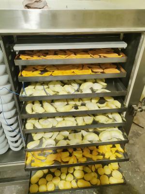China Refrigeration Unit Freeze Dryer Rated Power 200KW Freeze Drying Equipment for  Food and Chemical Industry for sale