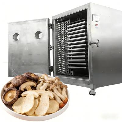 China Vacuum Level Less Than 13Pa Industrial Freeze Dryer Featuring PLC Control System and 304 Stainless Steel for Performance for sale