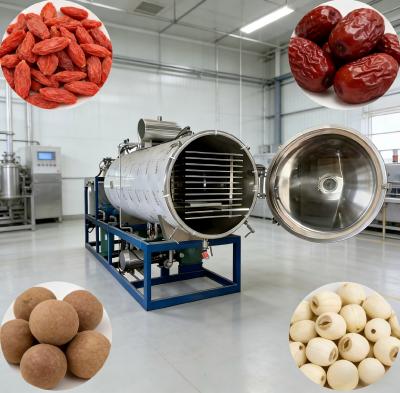 China PLC Control System Vacuum freeze-drying machine offering Chamber Size 12700 2600 3300mm perfect for  food and chemical industries for sale