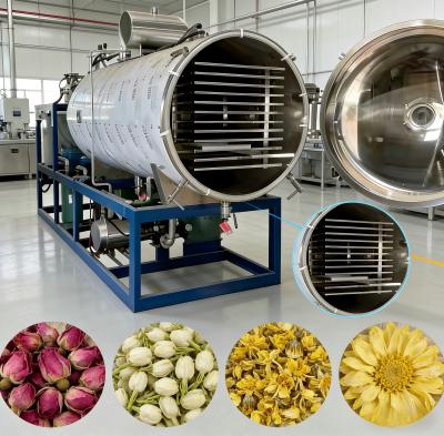 China 220V 380V 3PH Power Supply Freeze Dryer Including  Or Leybold Refrigeration Unit Engineered for Food Preservation for sale