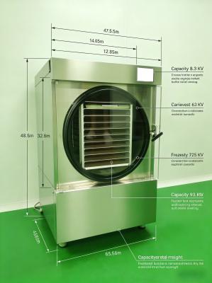 China Voltage 220V1PH5060HZ Mini freeze dryer featuring temperature range minus 50 to plus 90 degrees Celsius ideal for food dehydration and laboratory for sale