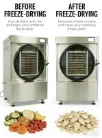 China Two-stage Baosi Vacuum Pump Home Freeze Dryer Electric Heating Method Capacity 20 to 25kg Easy Operation and Maintenance for sale