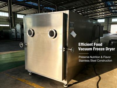 China Or Leybold Refrigeration System Food Vacuum Freeze Dryer With Electric Heating And Durable Food Grade 304 Stainless Steel Body for sale
