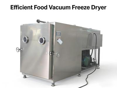 China PLC Control Food Vacuum Freeze Dryer Powered by Baosi Or  Vacuum Pump Suitable for Diverse Food Preservation Needs for sale