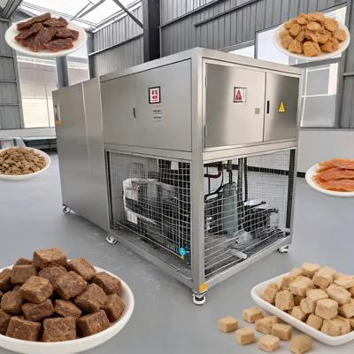 China Electric Heating Food Vacuum Freeze Dryer Offering Freeze Drying Temperature Minus 40 to 80 Degrees Celsius for Food Dehydration for sale