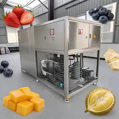 China Or Leybold Refrigeration System Food Vacuum Freeze Dryer Air Cooled Equipment for Food Freeze Drying and Storage for sale
