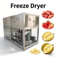 China Air Cooled Food Vacuum Freeze Dryer Featuring 380V 50HZ 3PH Voltage and 35KW Installation Power Ideal for Preserving Food Shelf Life for sale